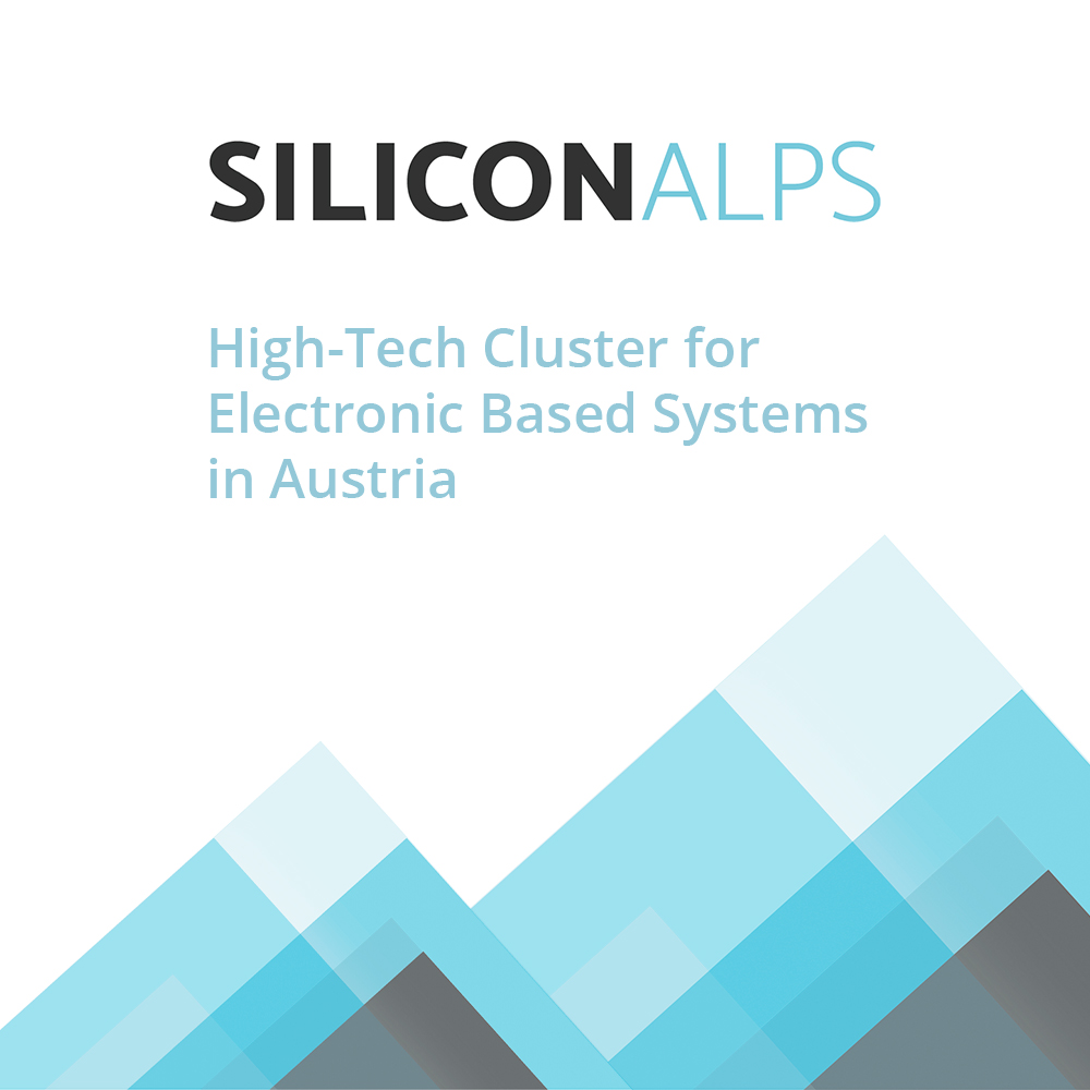 tpv: Silicon Alps Cluster